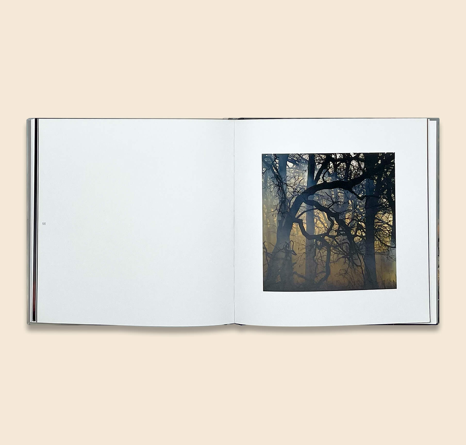 The Burn by Jane Fulton Alt | Fine Art Photography – Sous Les Etoiles ...